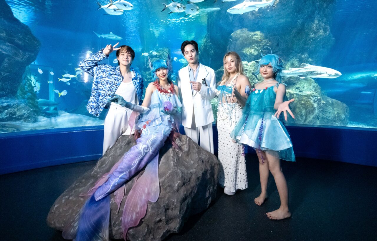 RoV จัดงาน DOLIA Night at the Aquarium เผยโฉม "Dolia" ฮีโร่เงือกสาว ...