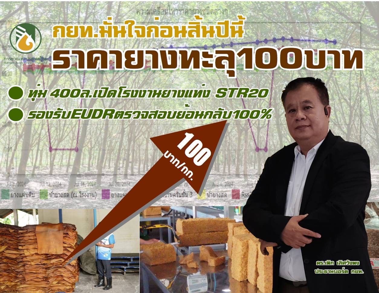 กยท.มั่นใจก่อนสิ้นปีนี้ราคายางทะลุ 100 บาท/กก. ทุ่ม 400 ล. เปิดโรงงาน ...