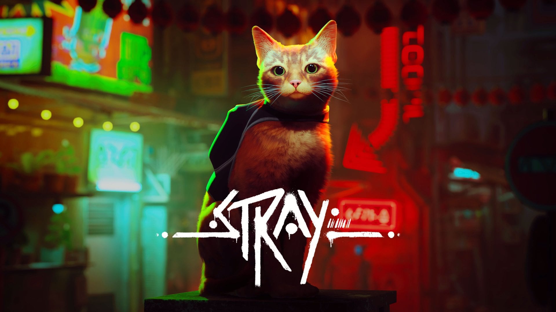 เผยเบื้องหลัง "Stray" หนึ่งในเกมแมวที่ดีที่สุดตลอดกาล ที่ไม่มีการใช้ ...