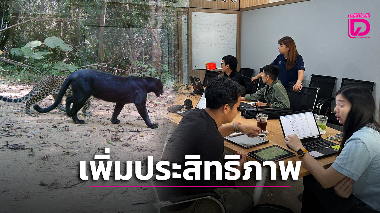ประชุมหารือเพื่อพัฒนา-เพิ่มประสิทธิภาพการใช้ฐานข้อมูล SMART patrol ...