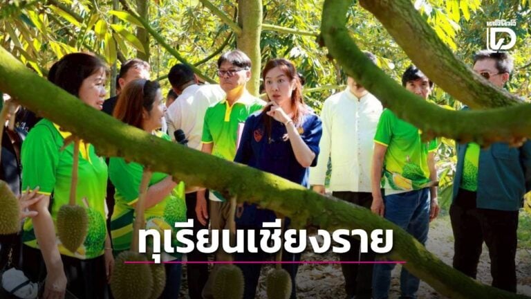 “ปิยะรัฐชย์” ดันทุเรียนเชียงราย เจาะตลาดออนไลน์ ผลักดันตลาดส่งออก ...